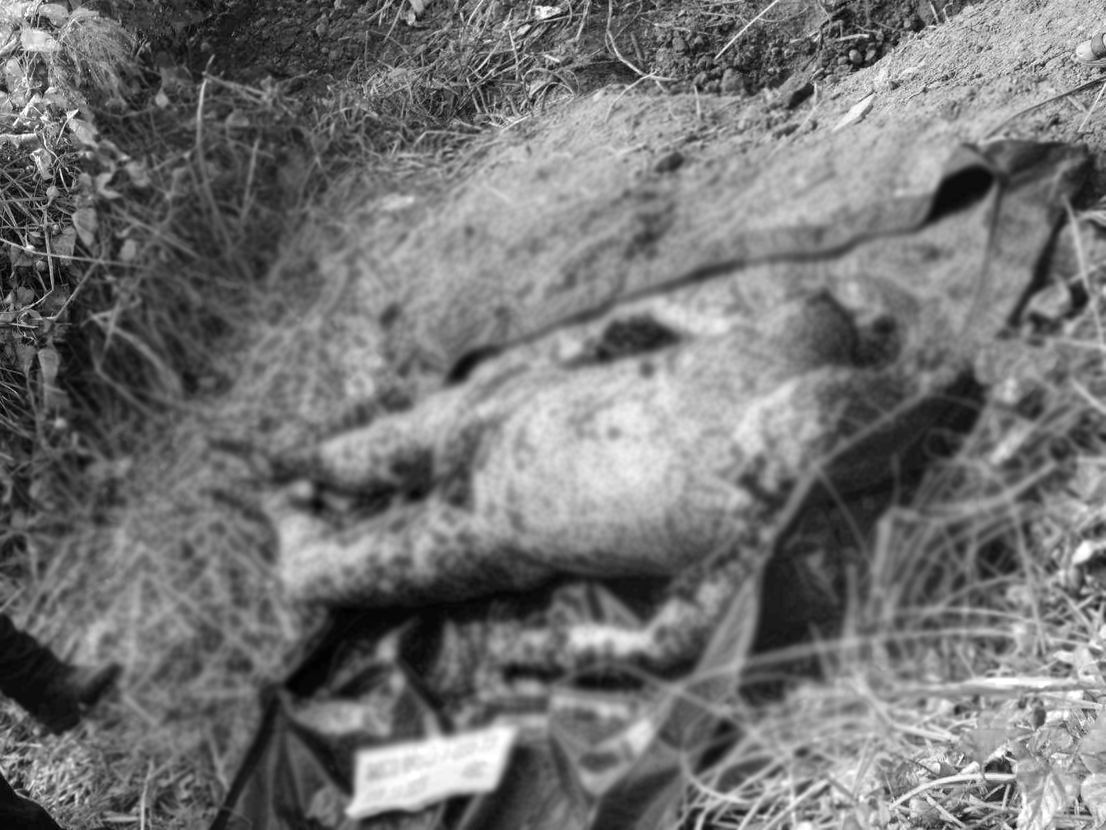 15 persons of interest tagged in death of Adamson student — police