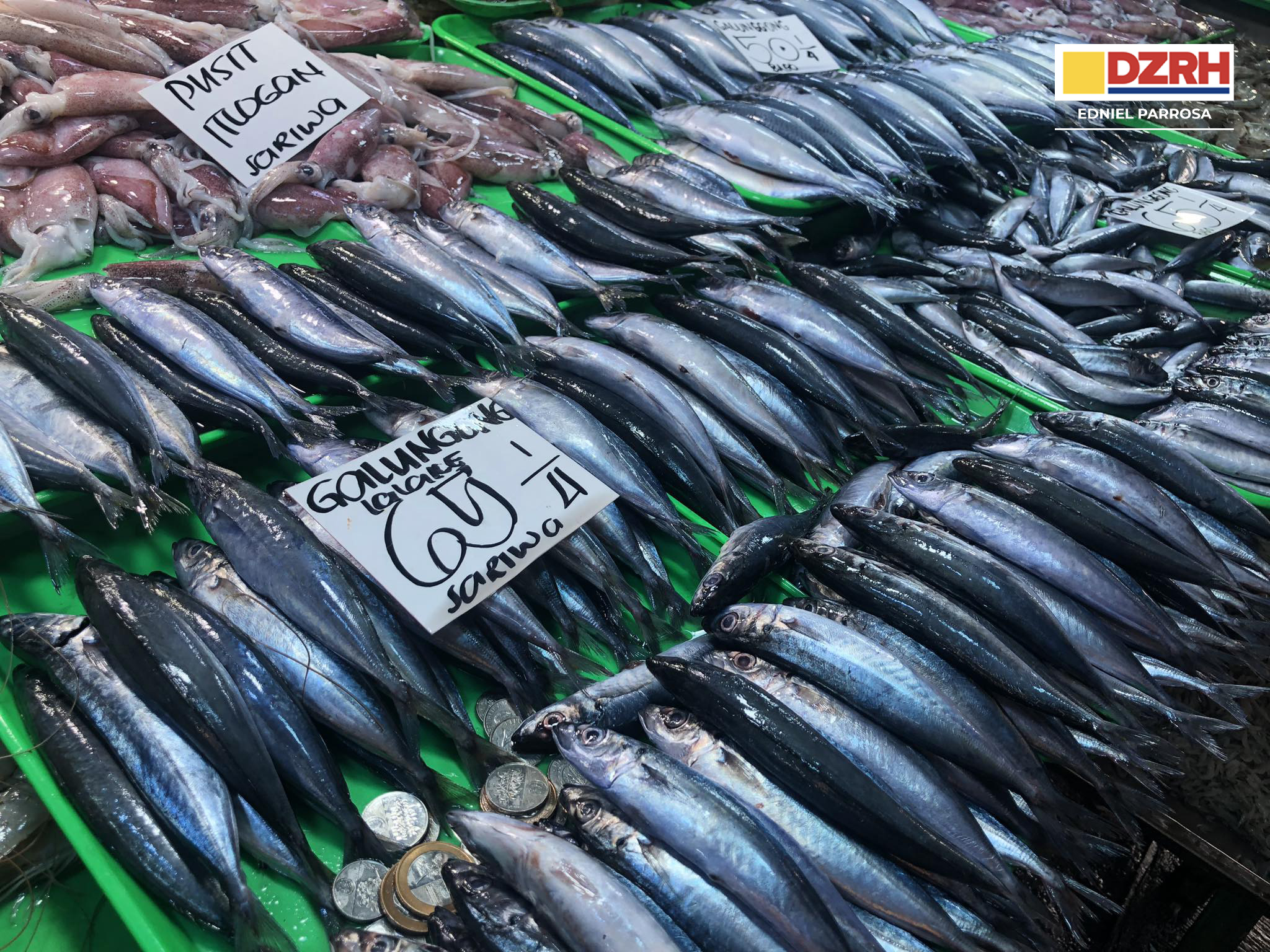 BFAR eyes 100% fish sufficiency by 2028