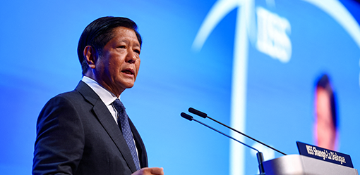 DND chief: PBBM thumbs down announcing RORE missions