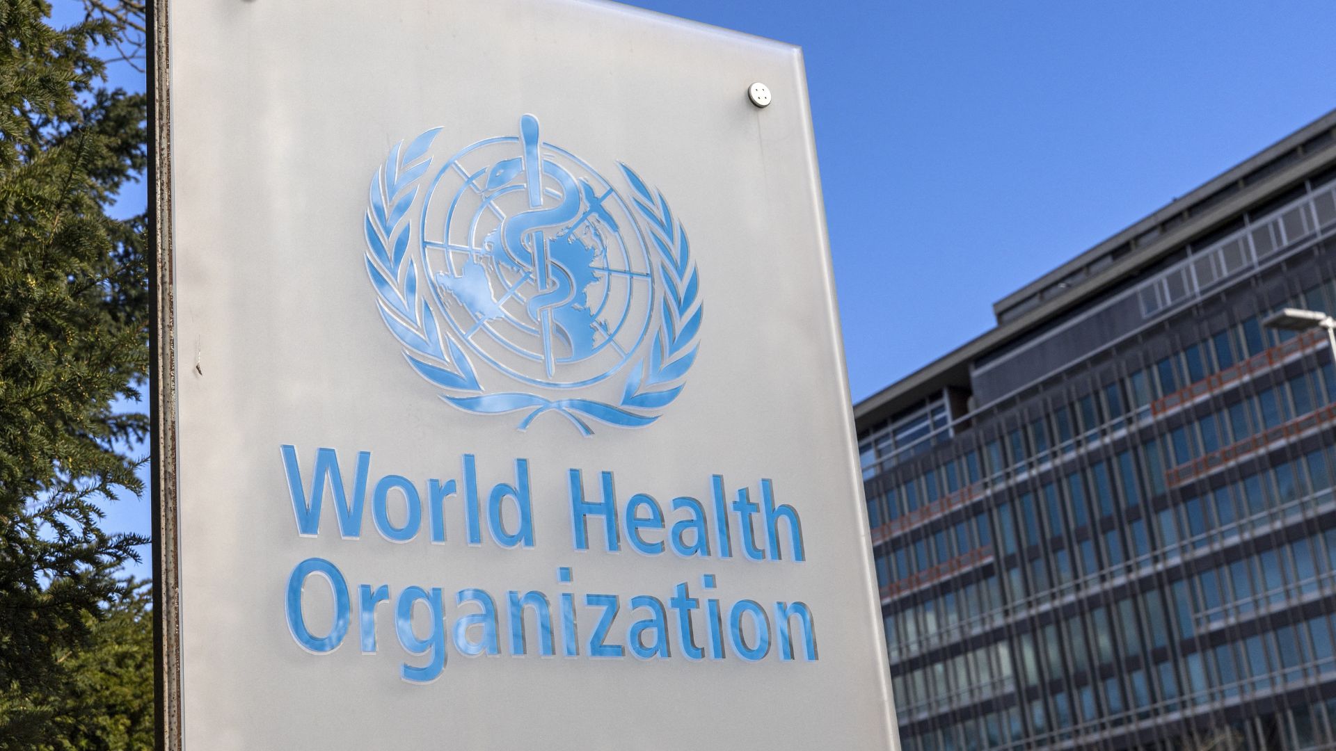 Landmark global pandemic agreement adopted by World Health Organization ...