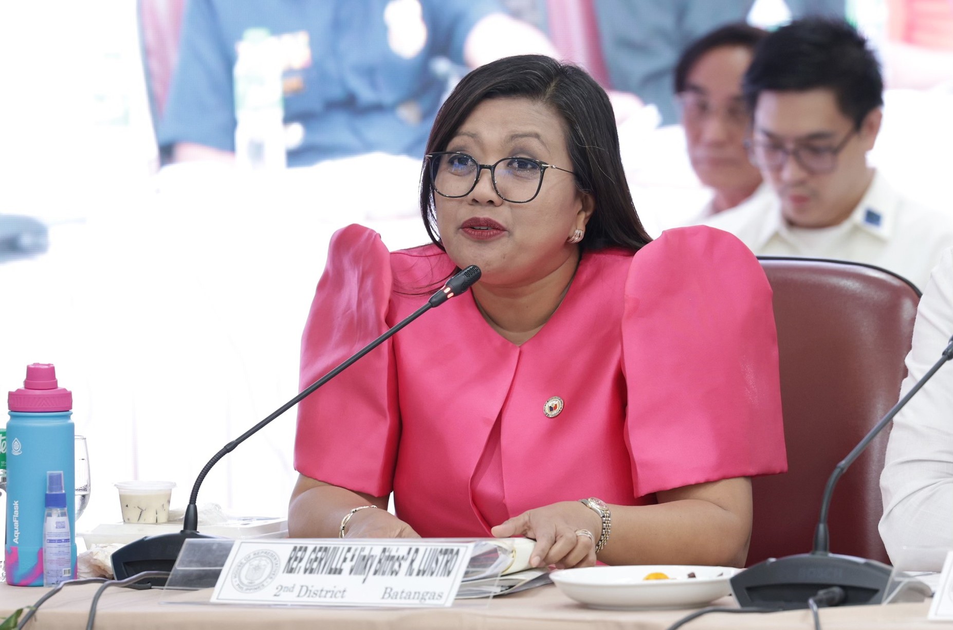 Luistro to House: Strengthen rules on Filipino citizenship; make rights ...