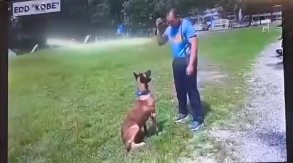 PNP announces new leadership of EOD-K9 Group after K9 dog 'Kobe' goes ...